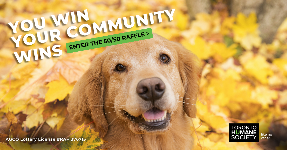 Toronto Humane Society