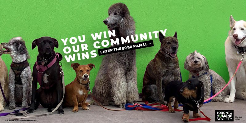 Toronto Humane Society