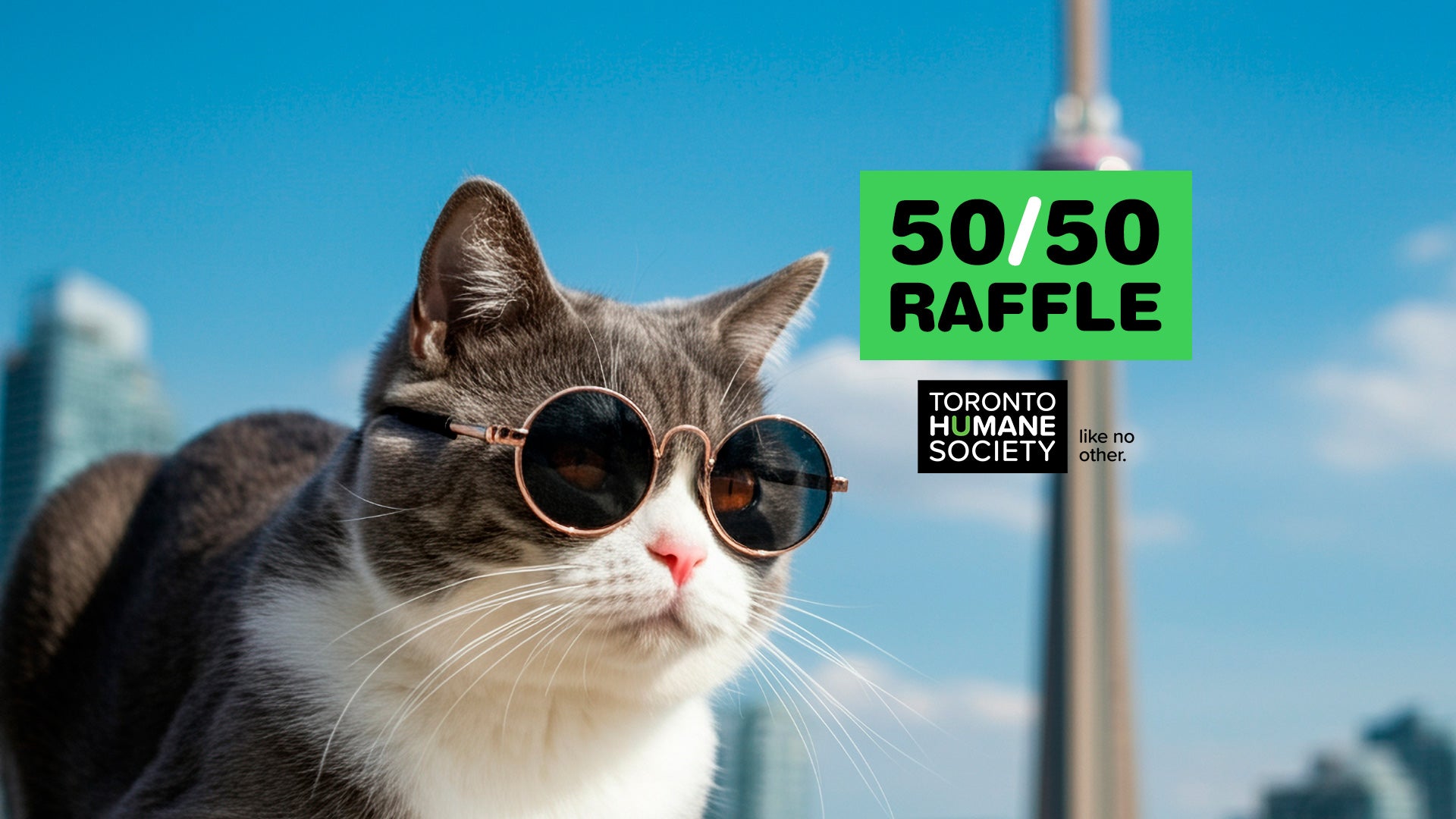 Toronto Humane Society